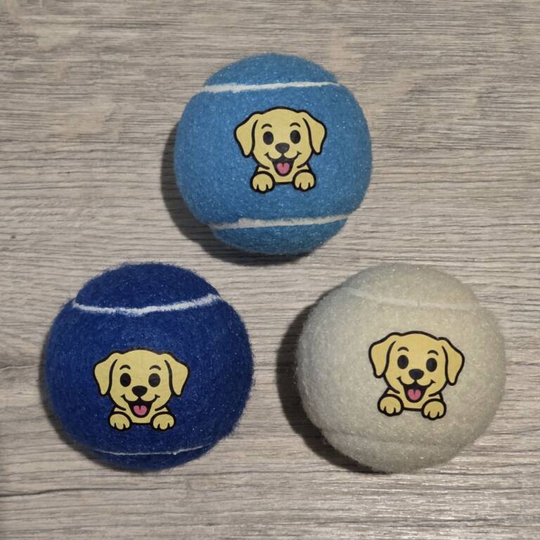 Dogge Mini Tennis Balls – Dogge